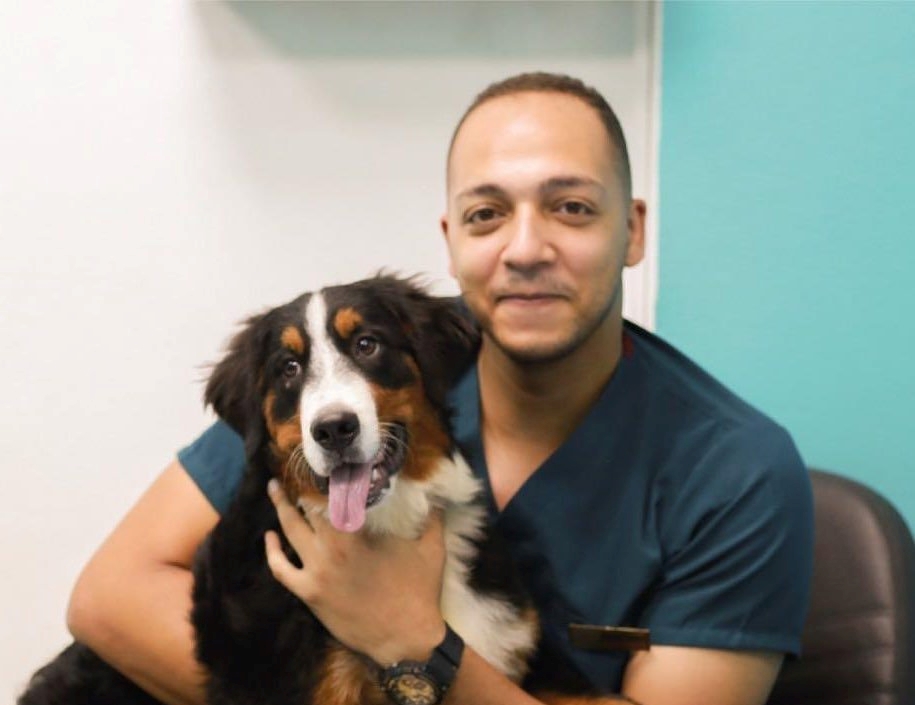 About Us – Vetland Veterinary Clinic